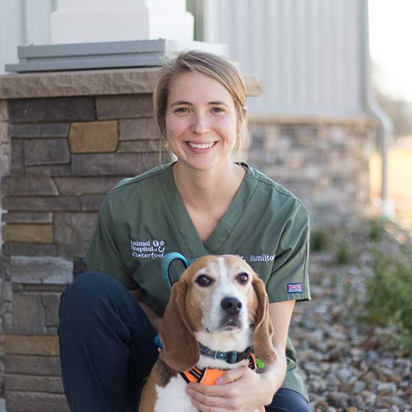 Veterinarians - Animal Hospital of Waterford